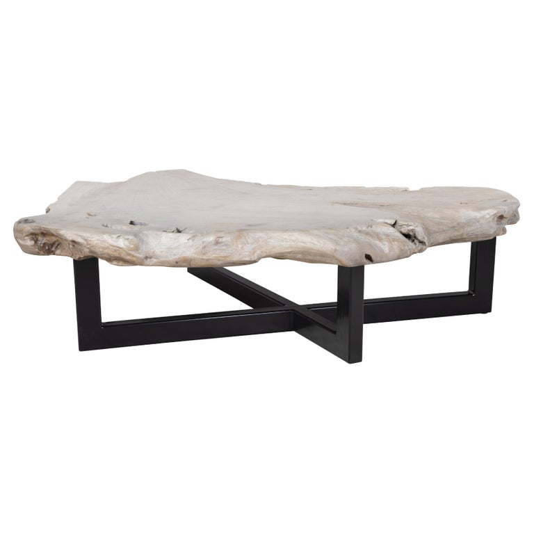 Organic Slice Coffee Table on Ebonized Steel Base For Sale at 1stDibs