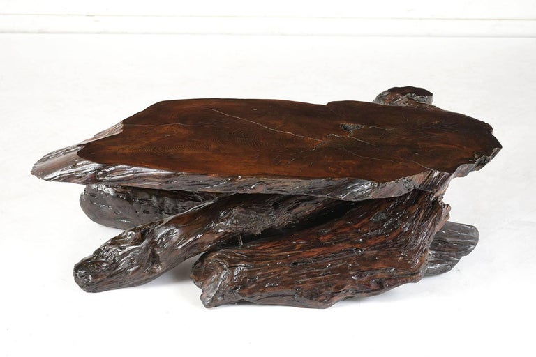 Organic Tree Root Coffee Table at 1stDibs
