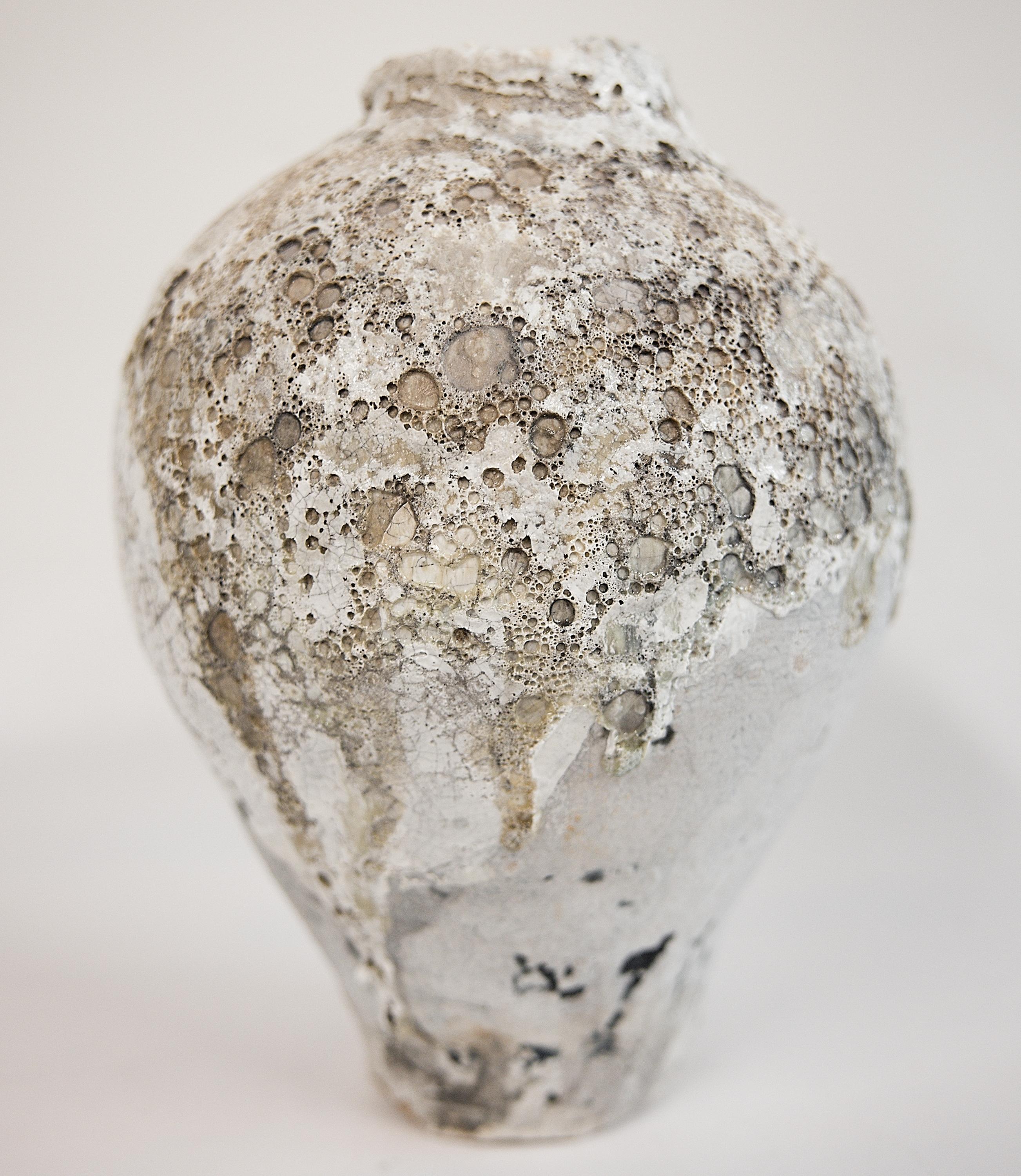 Organic Volcanic Ginger Jar III For Sale at 1stDibs