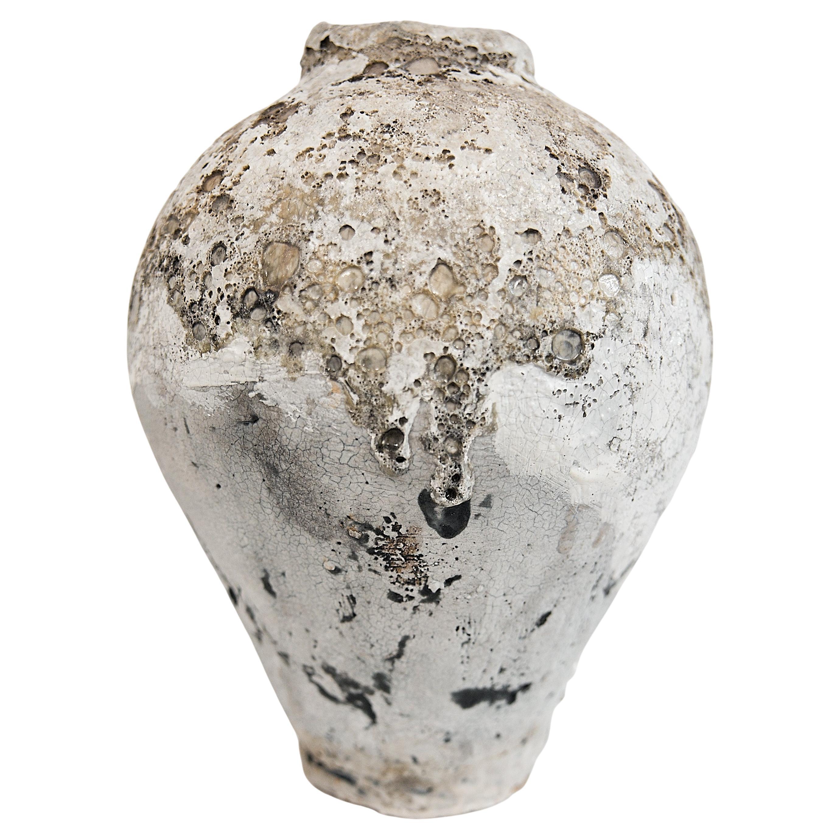 Organic Volcanic Ginger Jar III For Sale at 1stDibs