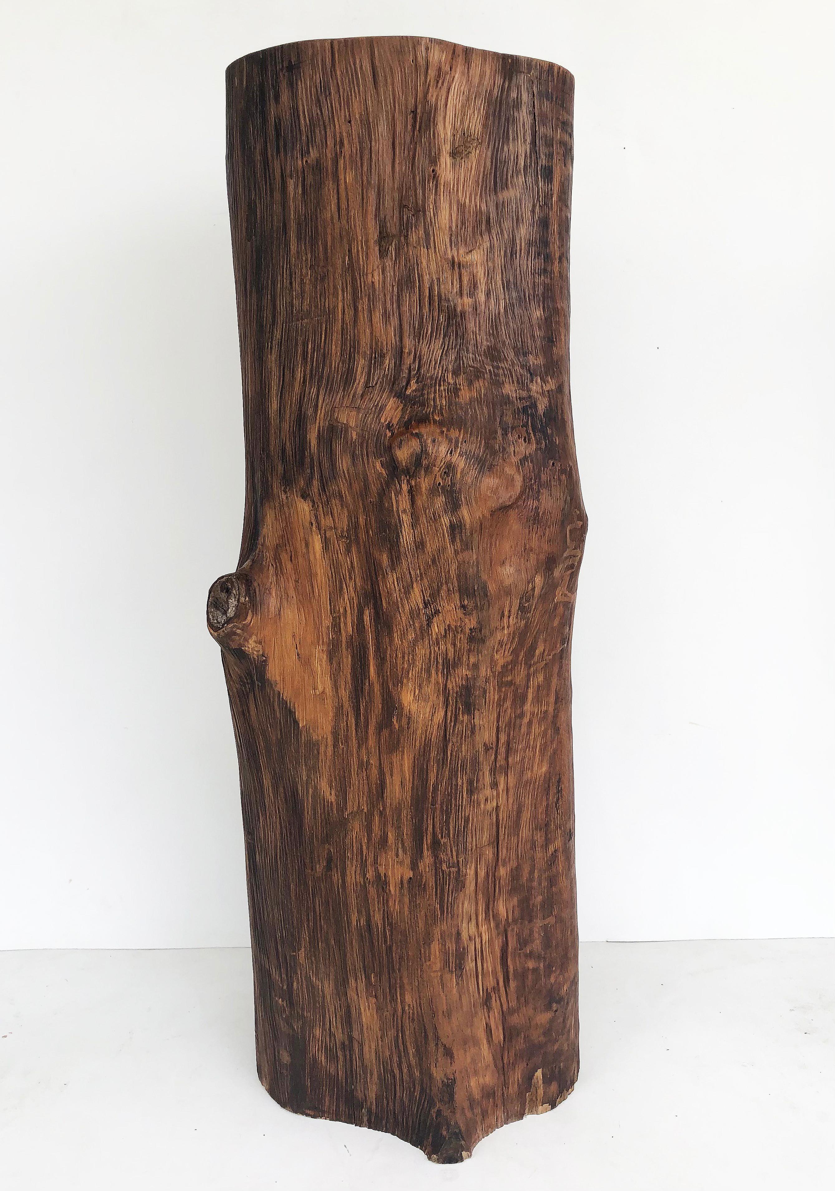 Organic Wood Tree Trunk Pedestals, 3 Available For Sale at 1stDibs