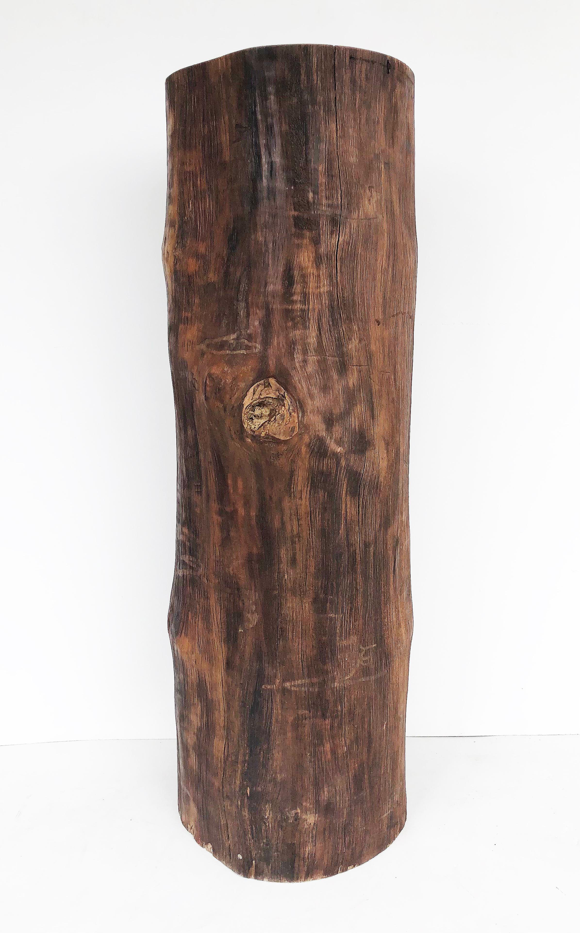 Organic Wood Tree Trunk Pedestals, 3 Available For Sale at 1stDibs