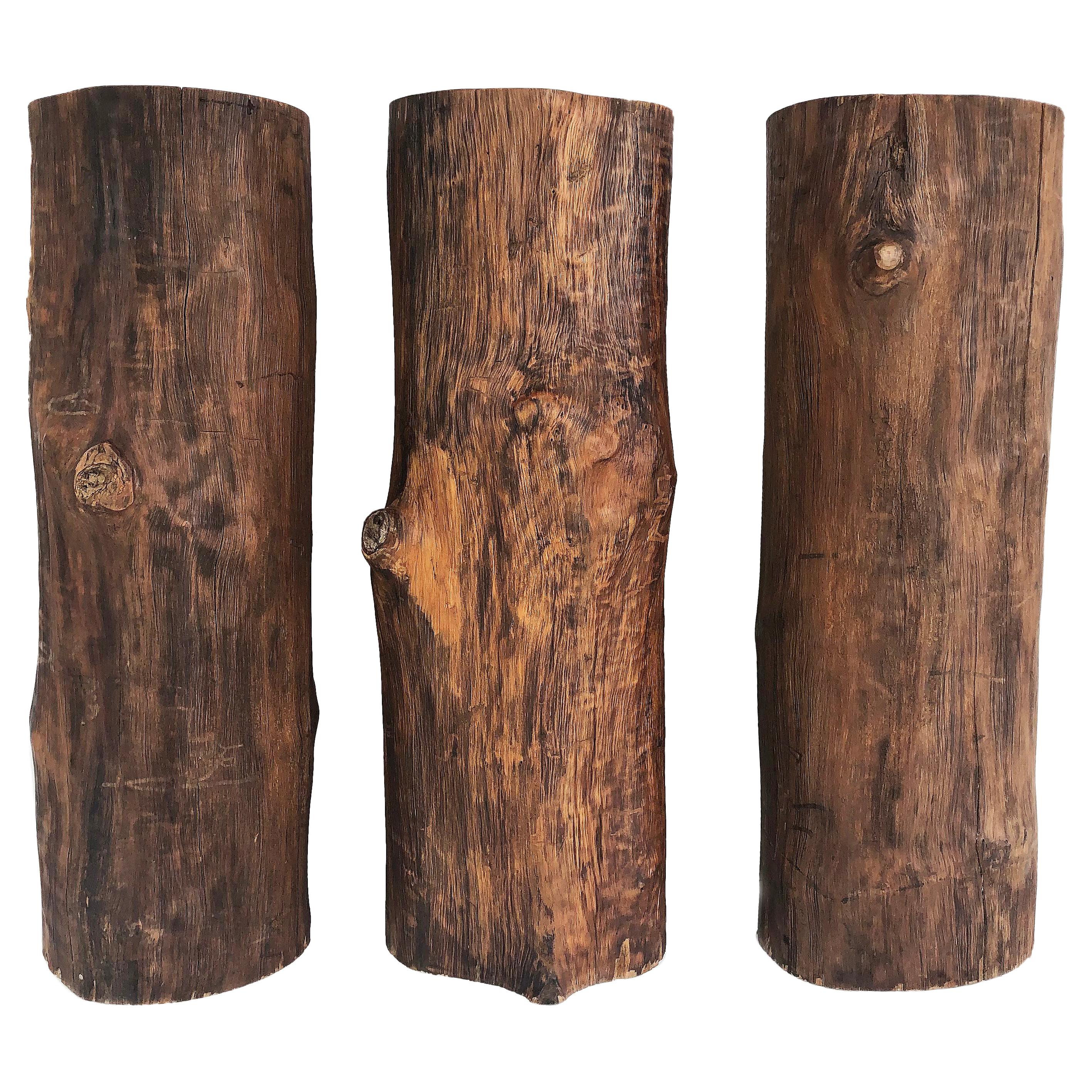 Tree Trunk Side Table Solid Mango Wood Natural Finish Modern Organic ...