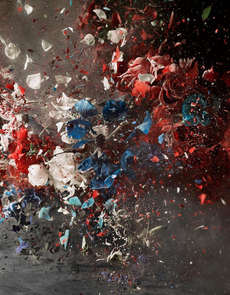 Ori Gersht - Blow Up, Untitled 19 For Sale at 1stDibs