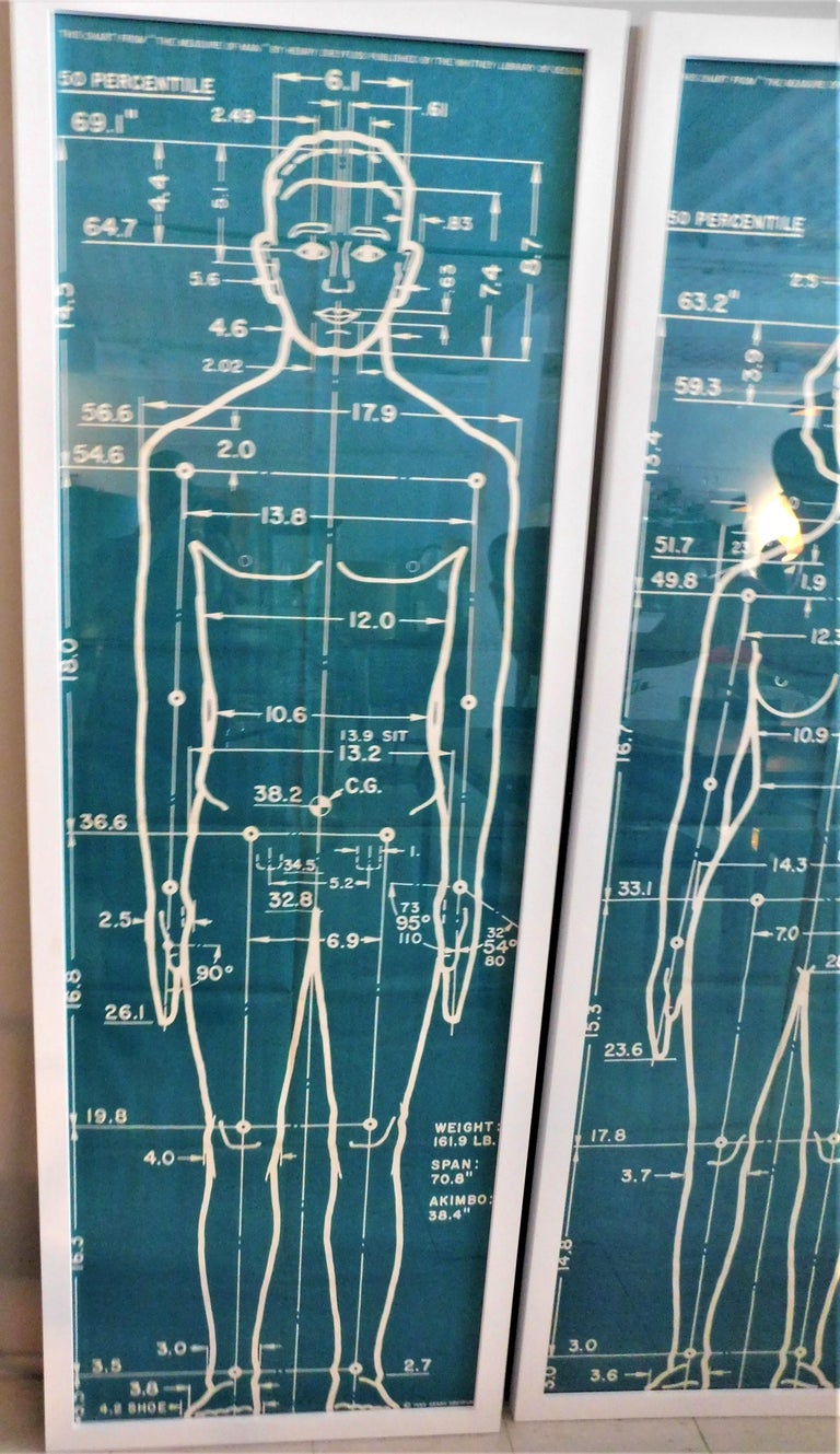 Original 1960 Posters "The Measure of Man" Henry Dreyfuss Library of ...