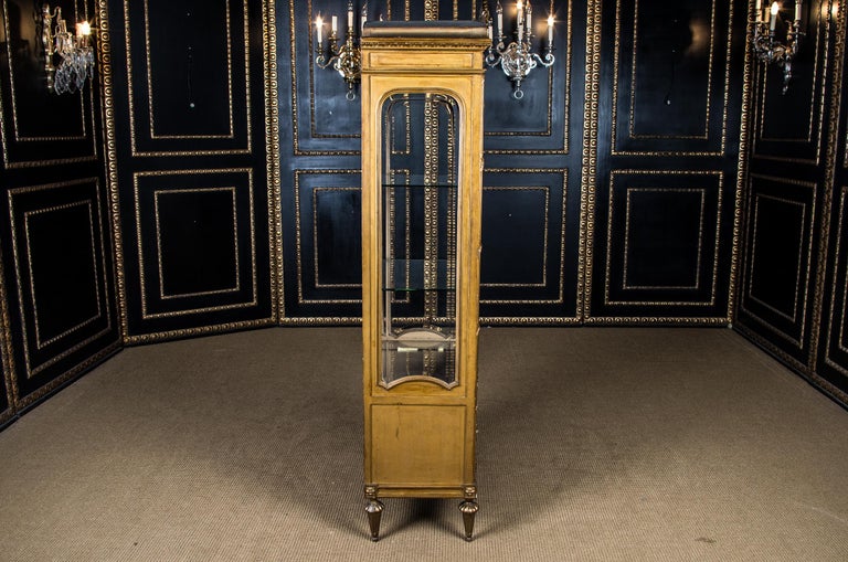 Original 19th Century French Vitrine in Louis Seize Style For Sale at ...