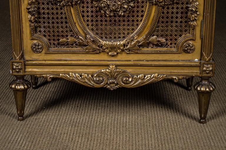 Original 19th Century French Vitrine in Louis Seize Style For Sale at ...