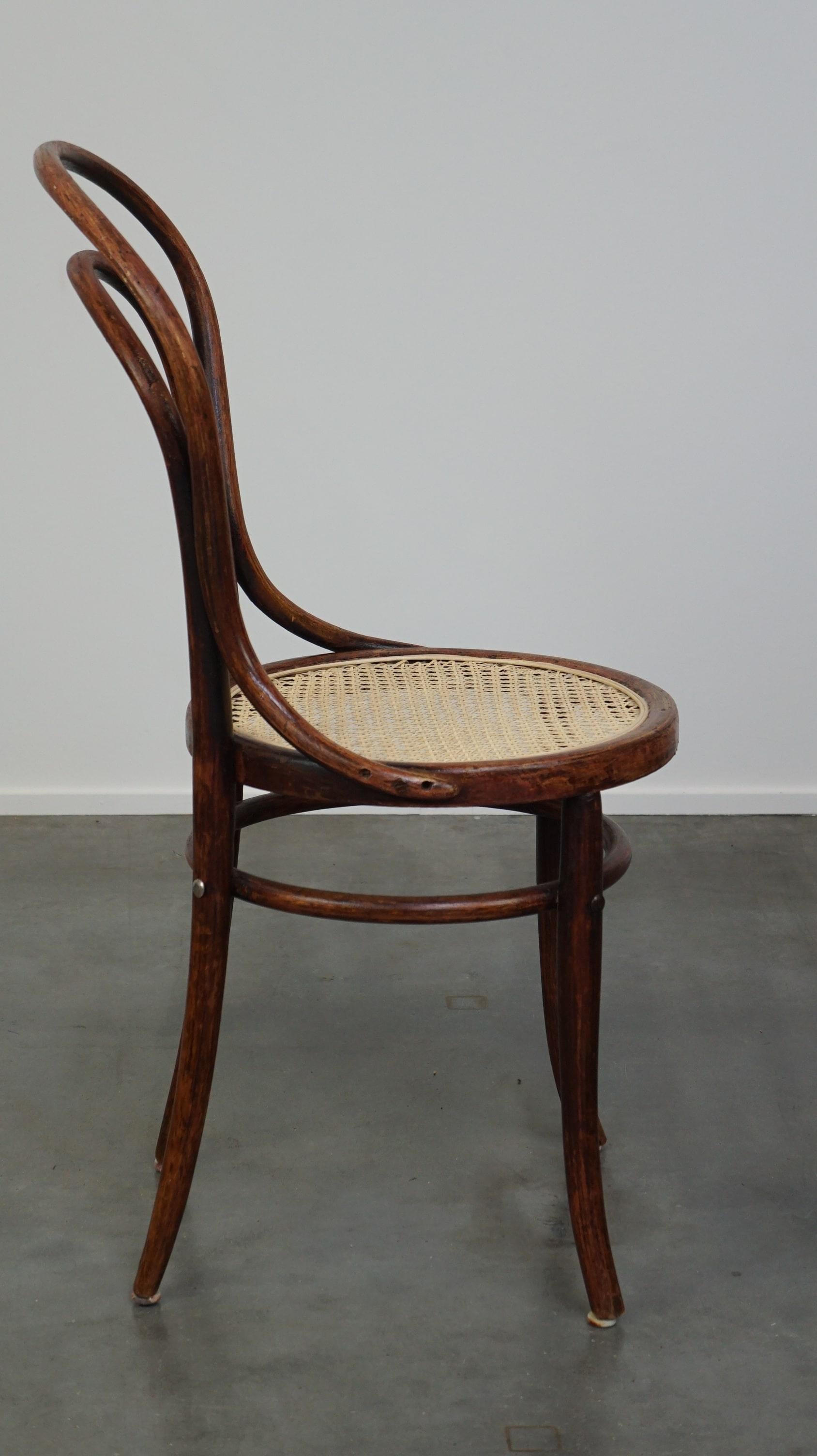Original antique bentwood Thonet bistro chair model no. 14 with a new ...