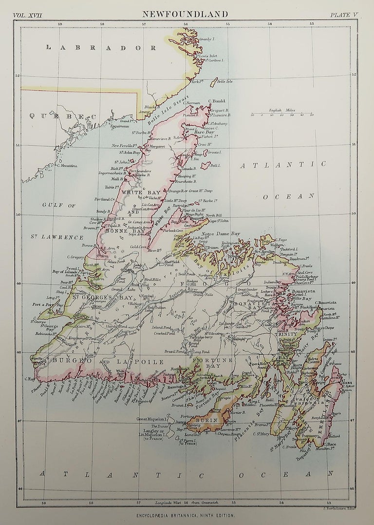 Original Antique Map of Newfoundland, 1889 at 1stDibs