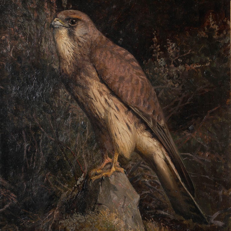 Original Antique Oil on Canvas Painting of a Falcon by Niels Peter ...