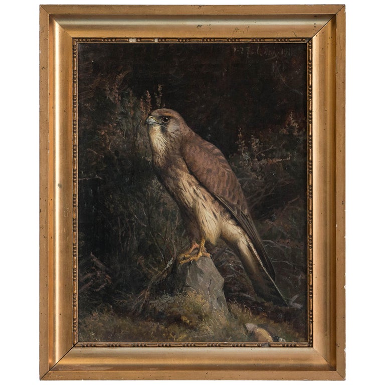 Original Antique Oil on Canvas Painting of a Falcon by Niels Peter ...