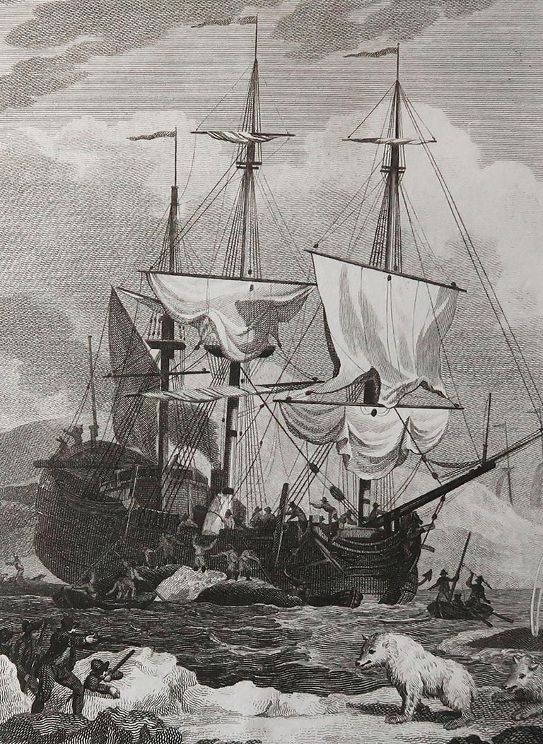 Original Antique Whaling Print, Circa 1800 For Sale at 1stDibs