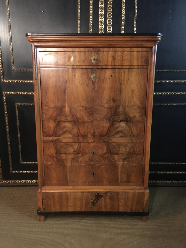 Original Biedermeier Secretary circa 1835 Walnut For Sale at 1stDibs