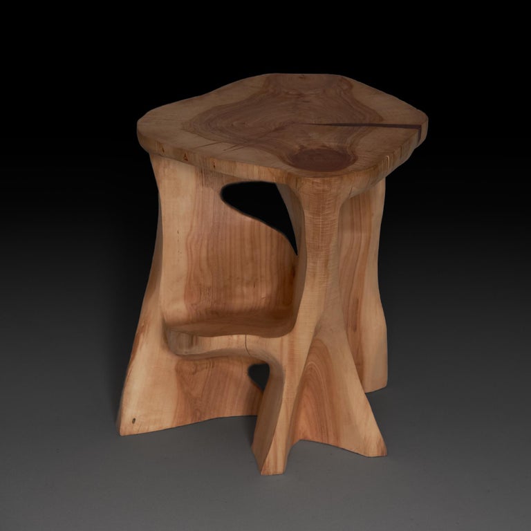 Original Functional Sculpture Carved Out of Solid Wood, Side Table ...