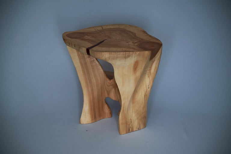 Original Functional Sculpture Carved Out of Solid Wood, Side Table ...