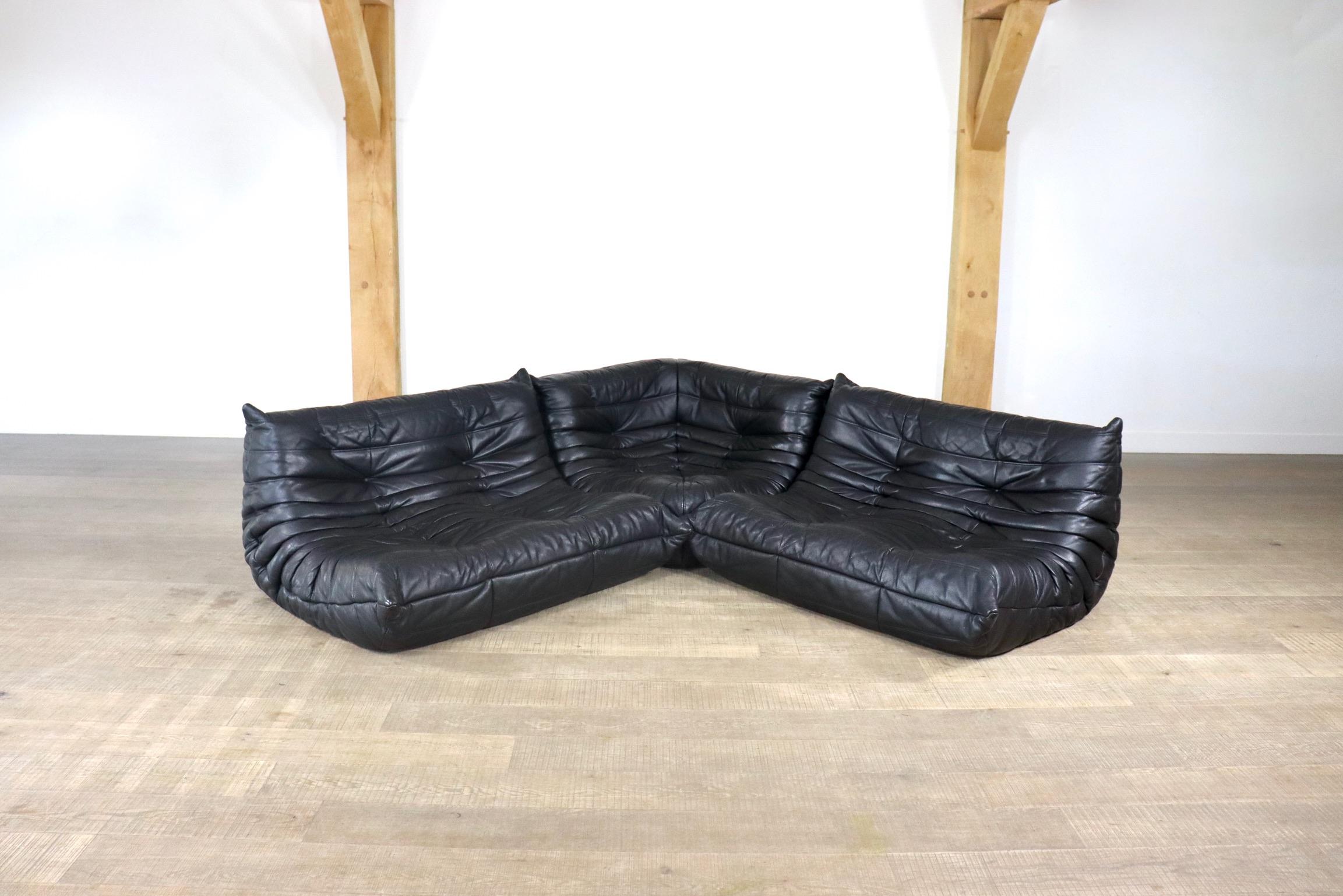 Original Leather Togo Seating Group by Michel Ducaroy for Ligne Roset ...
