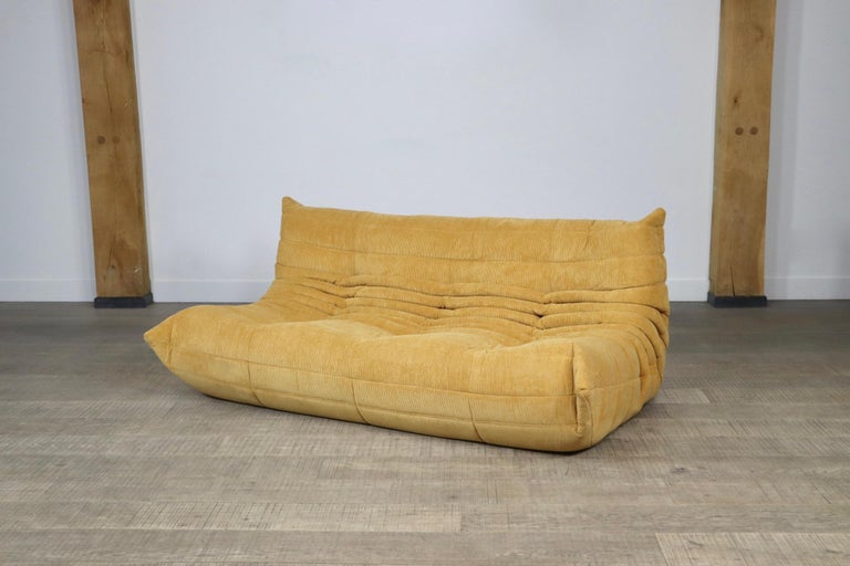 Original Ligne Roset Togo Seating Group in Mustard Corduroy by Michel ...