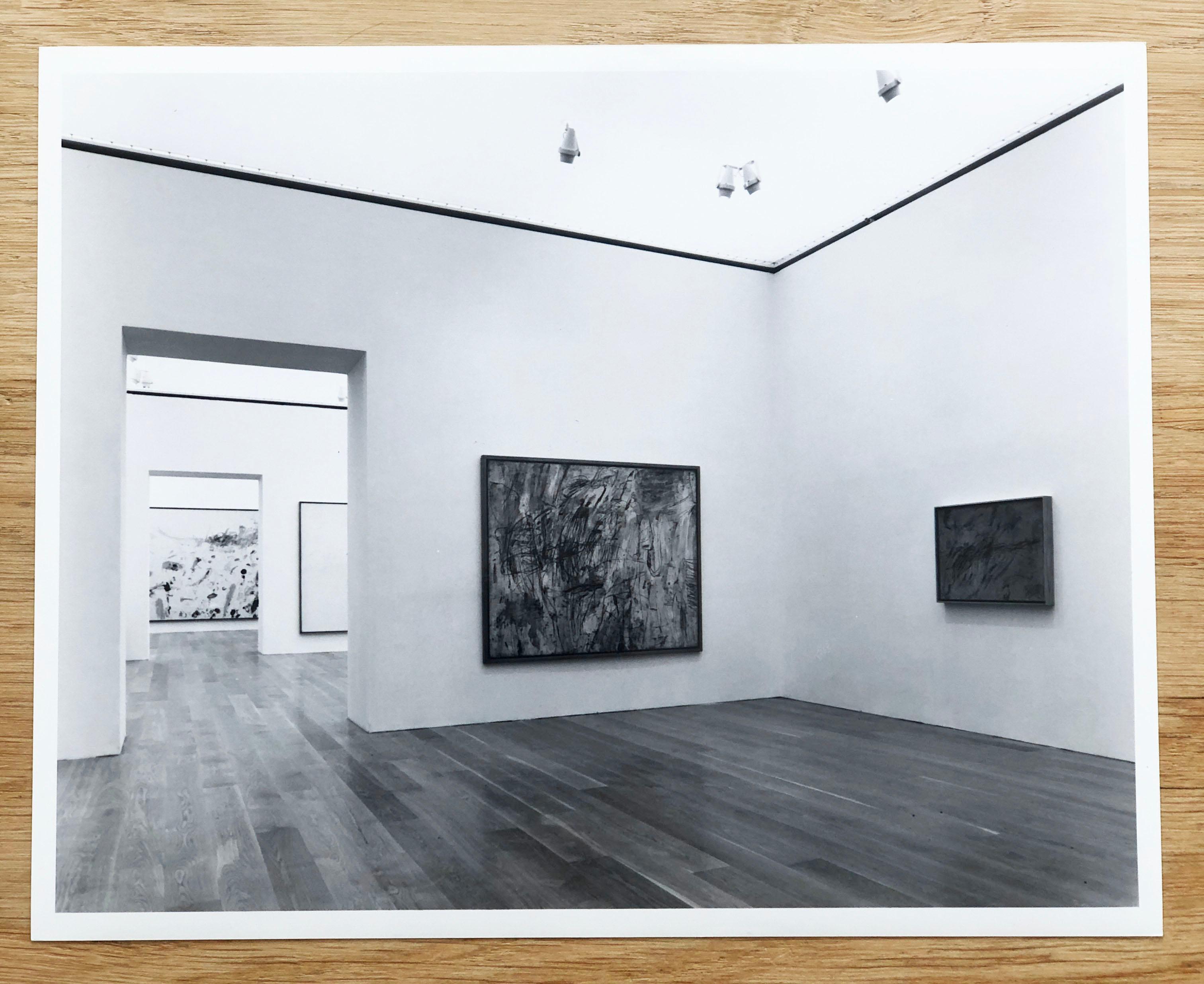 Original official press photo kit 1995 Cy Twombly exhibition: A ...