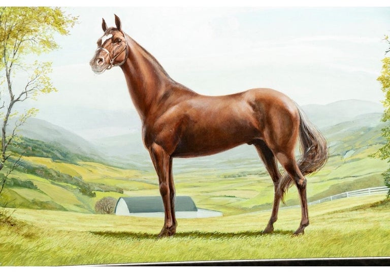 Original Oil on Board 1950, “Portrait of a Horse”, Signed Lower Right ...