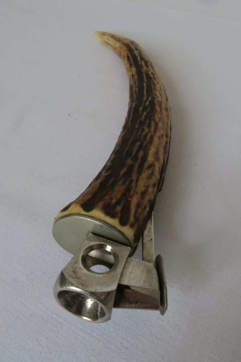 Original Solingen Cigar Cutter with Stag Horn Handle For Sale at 1stDibs
