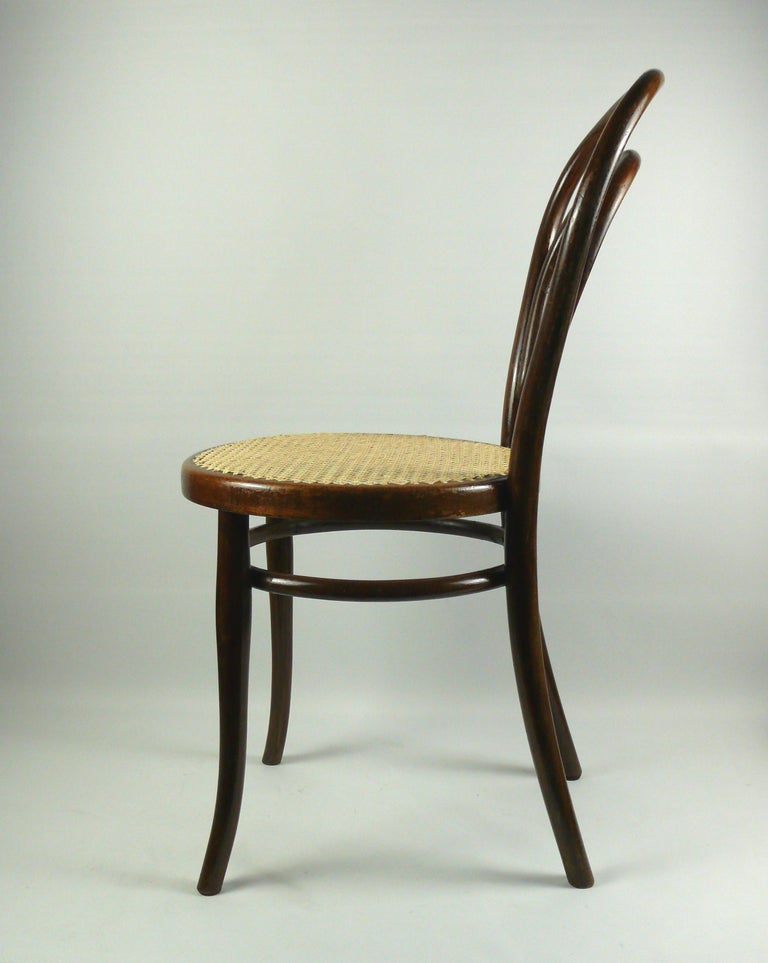 Original Thonet Bentwood Chair No. 14, Late 19th - Early 20th Century ...
