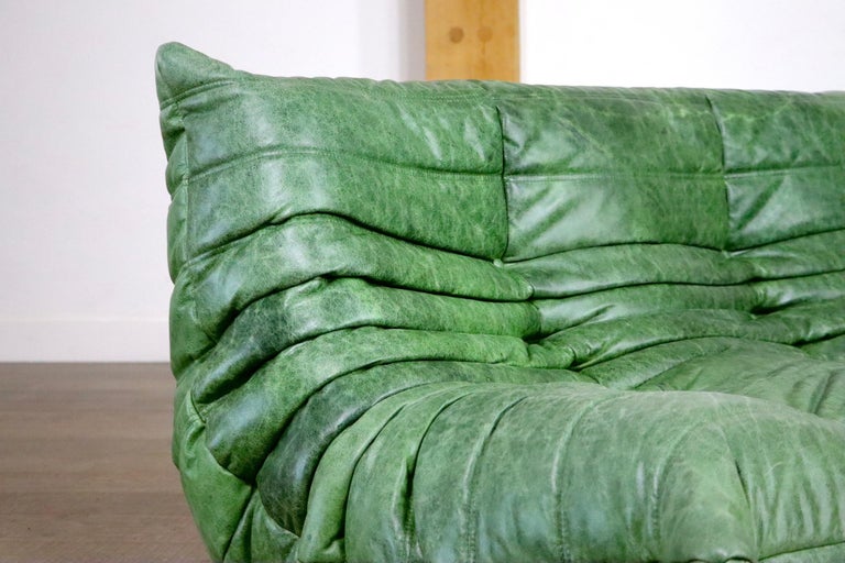 Original Togo Seating Group in Green Leather by Michel Ducaroy for ...