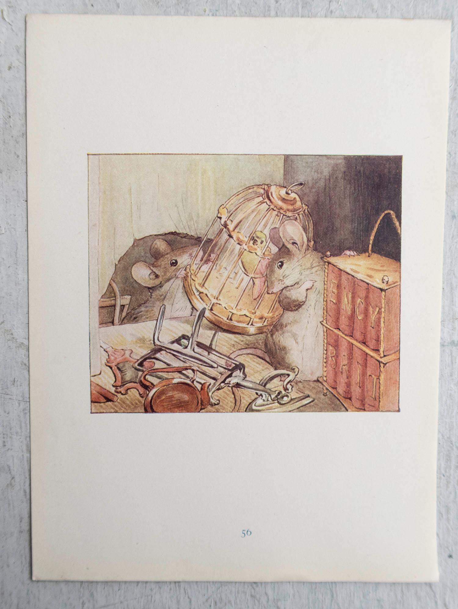 Original Vintage Beatrix Potter Print. Peter Rabbit And Friends C.1905 ...