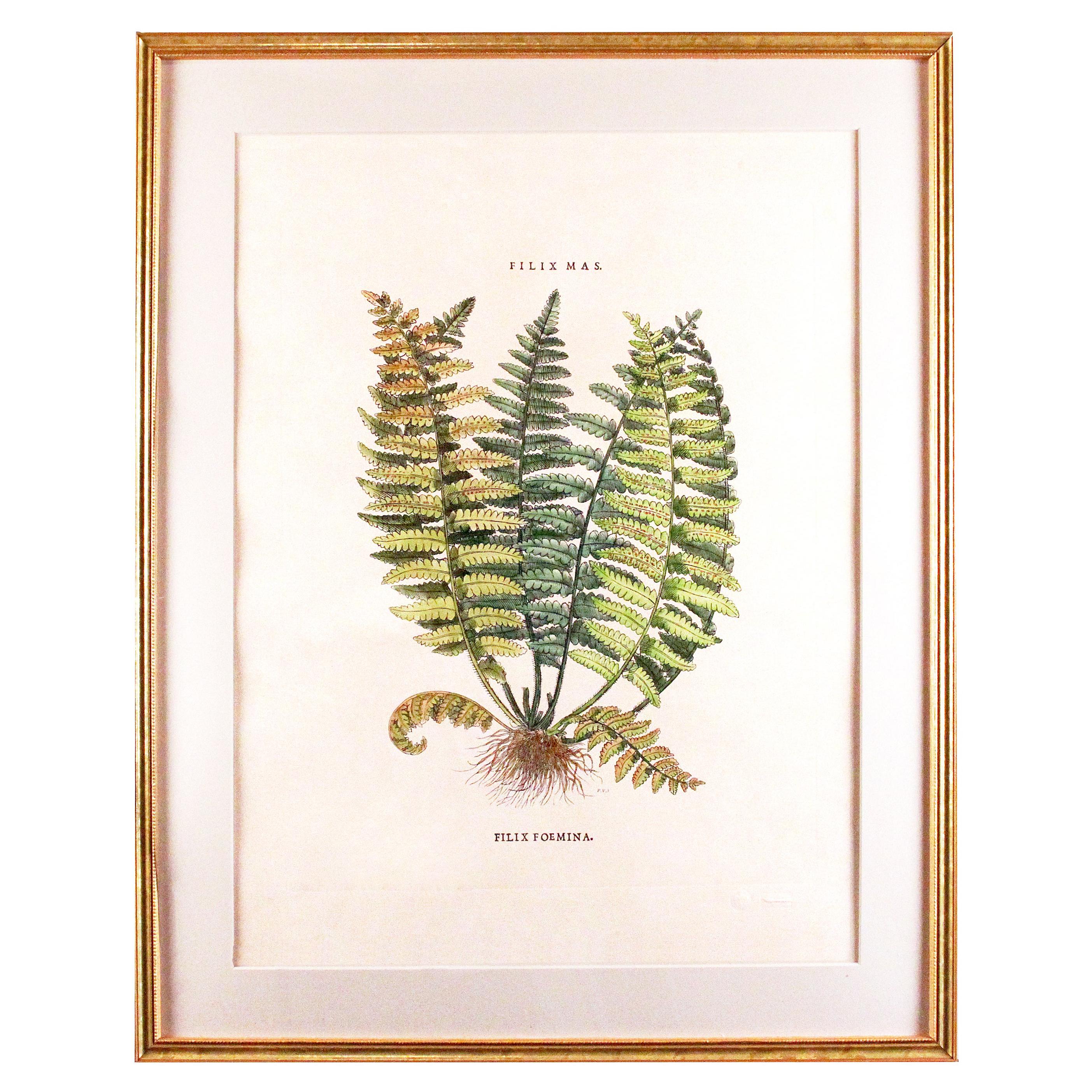Original Vintage Custom Botanical Fern Prints with Makers Stamp For ...