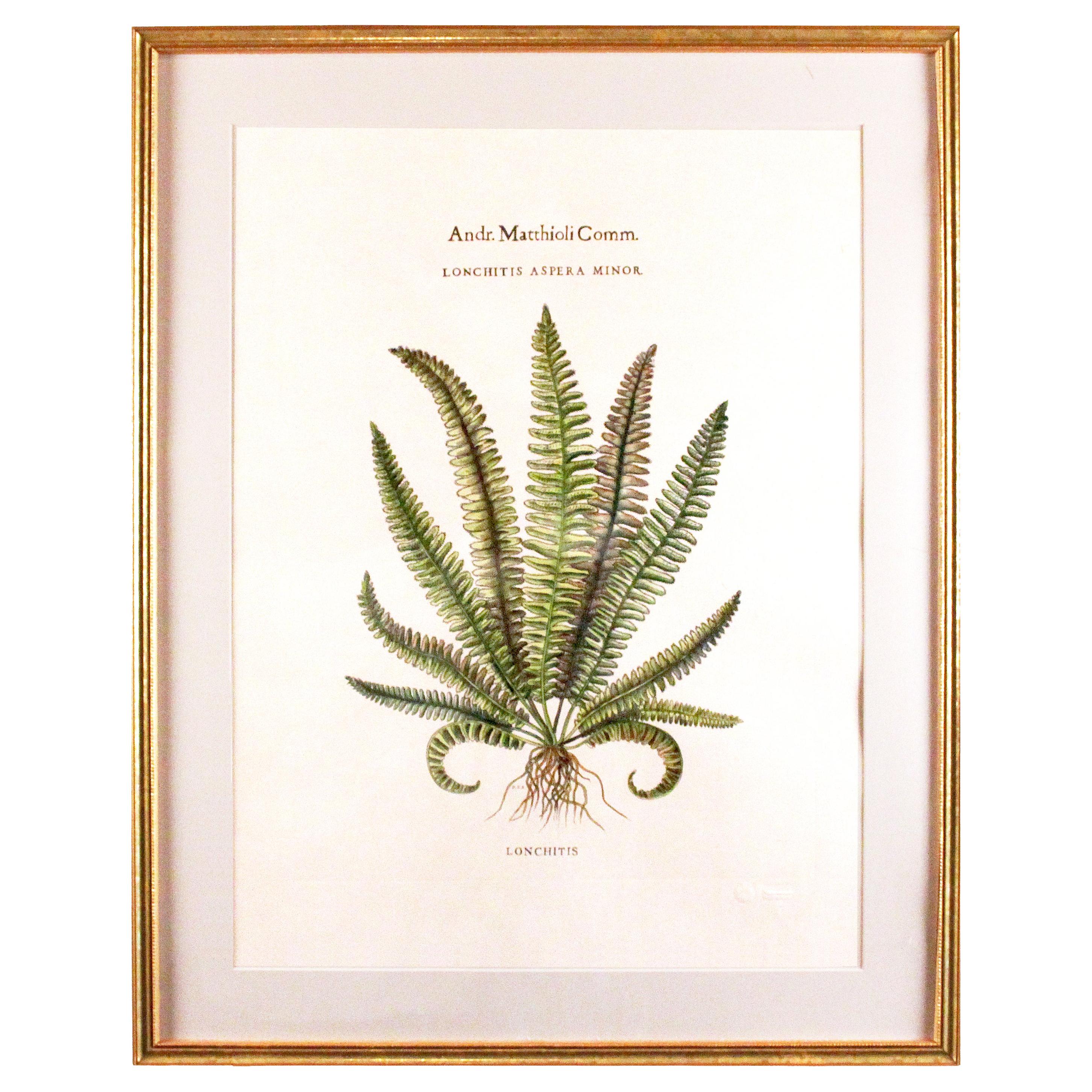 Original Vintage Custom Botanical Fern Prints with Makers Stamp For ...