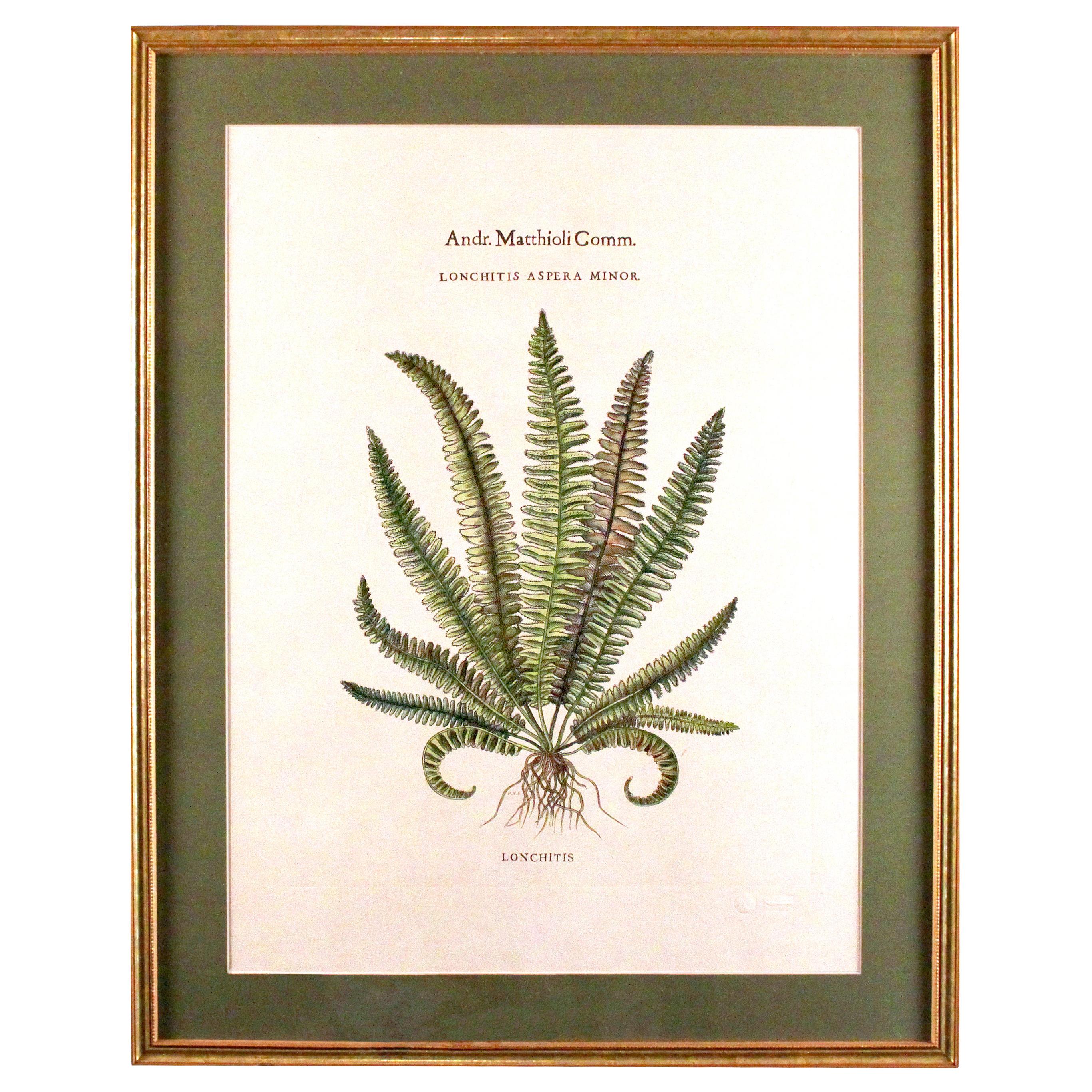 Original Vintage Custom Botanical Fern Prints with Makers Stamp For ...