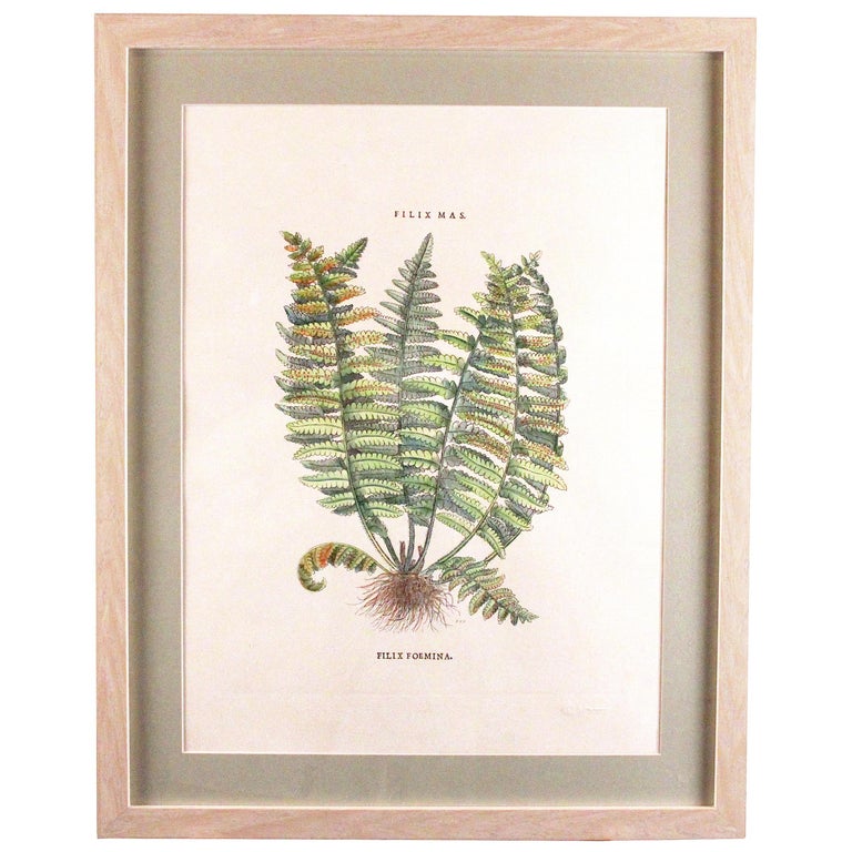 Original Vintage Custom Botanical Fern Prints with Makers Stamp For ...