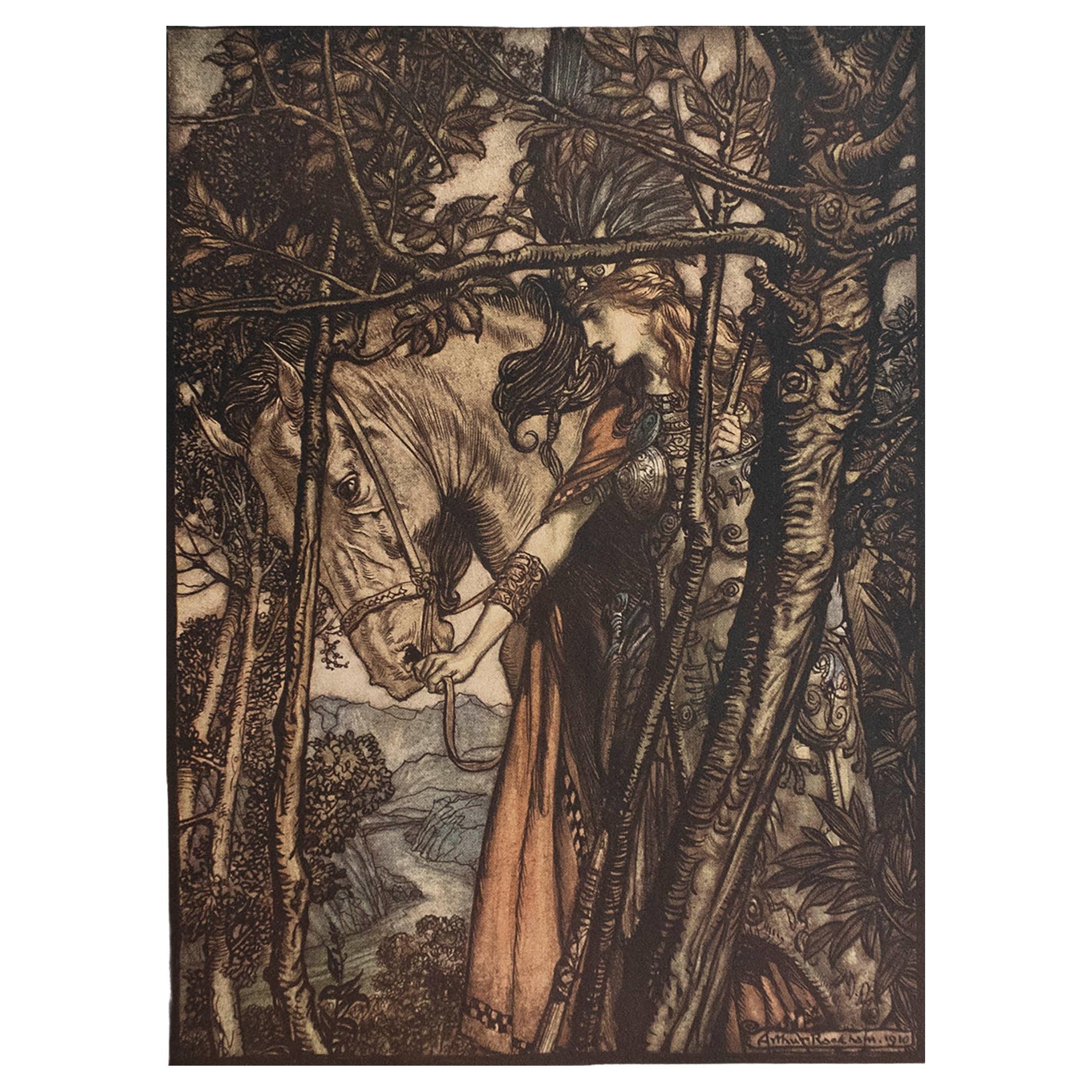 Original Vintage Print by Arthur Rackham, 1910. For Sale at 1stDibs
