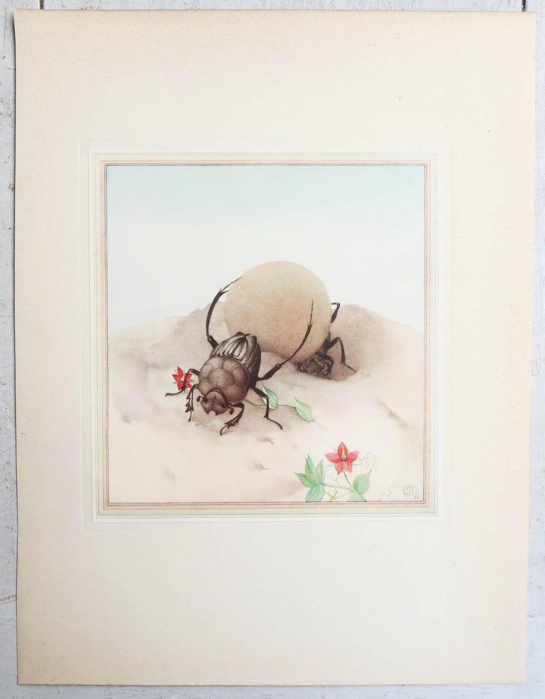 insects 1920