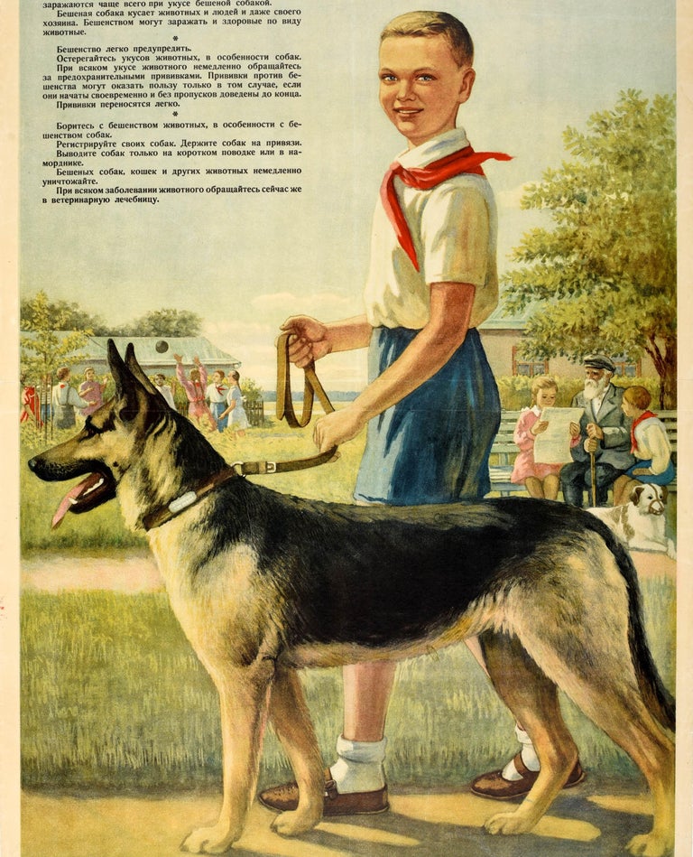 Original Vintage Public Health Poster Rabies Prevention In Dogs USSR ...
