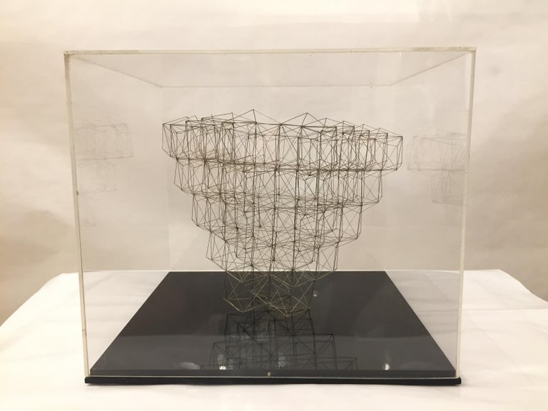 Original Wire Sculpture in Plexi Box by M. Gelfman Pereira For Sale at ...