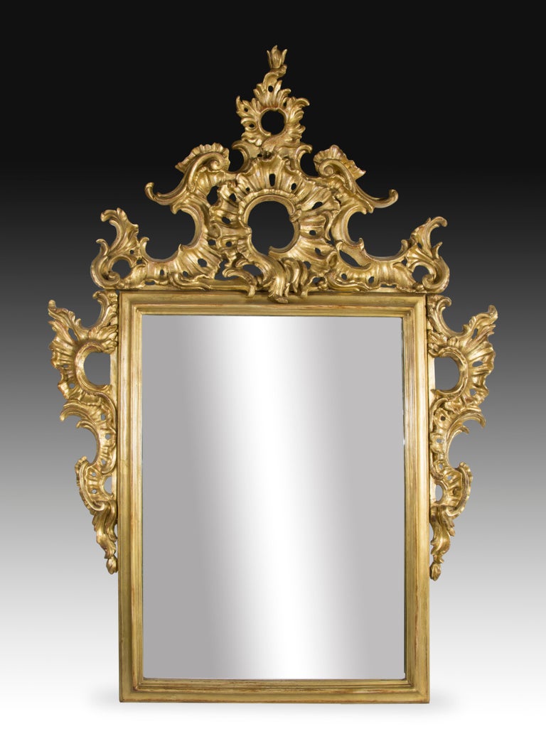Ornamental Mirror, 19th Century For Sale at 1stDibs