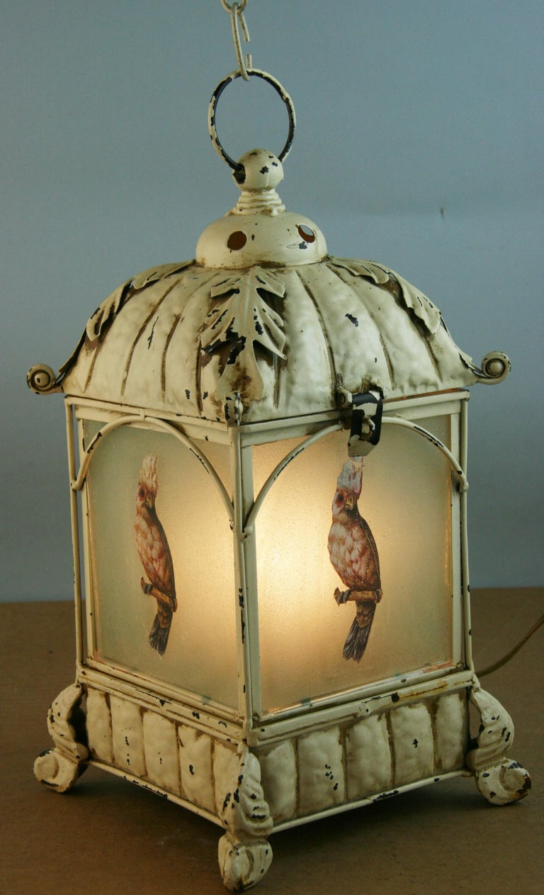 Ornate Lantern with Parrot Decorated Glass with Chain For Sale at 1stDibs