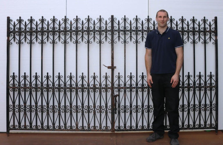 Ornate Pair of Driveway Gates in Wrought Iron 318 cm (10’4″) For Sale ...