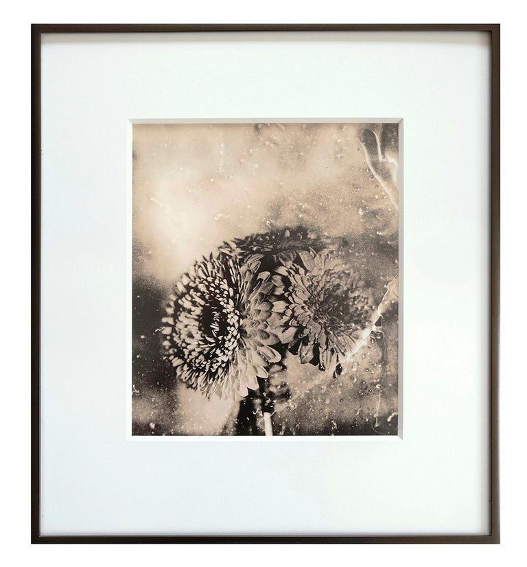 Osheen Harruthoonyan - Aurora - rare, one of a kind silver gelatin lith ...
