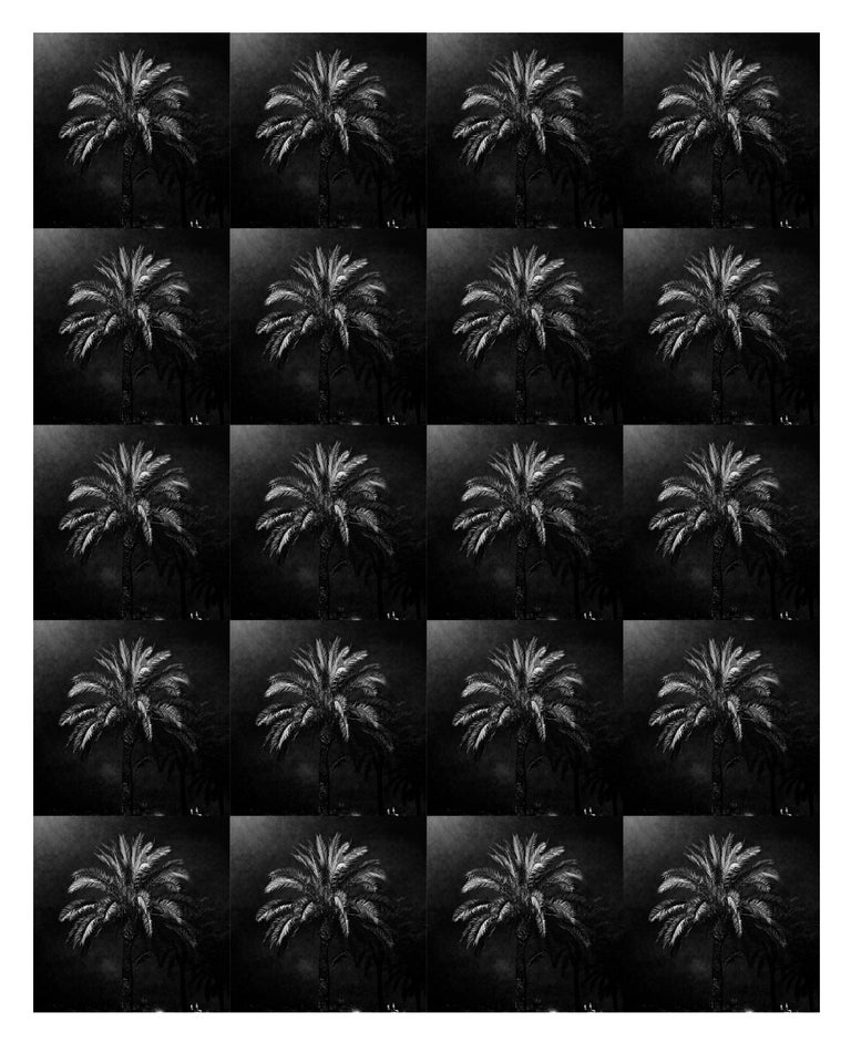 Osheen Harruthoonyan - Grid of Palm Trees, Barcelona - silver gelatin ...