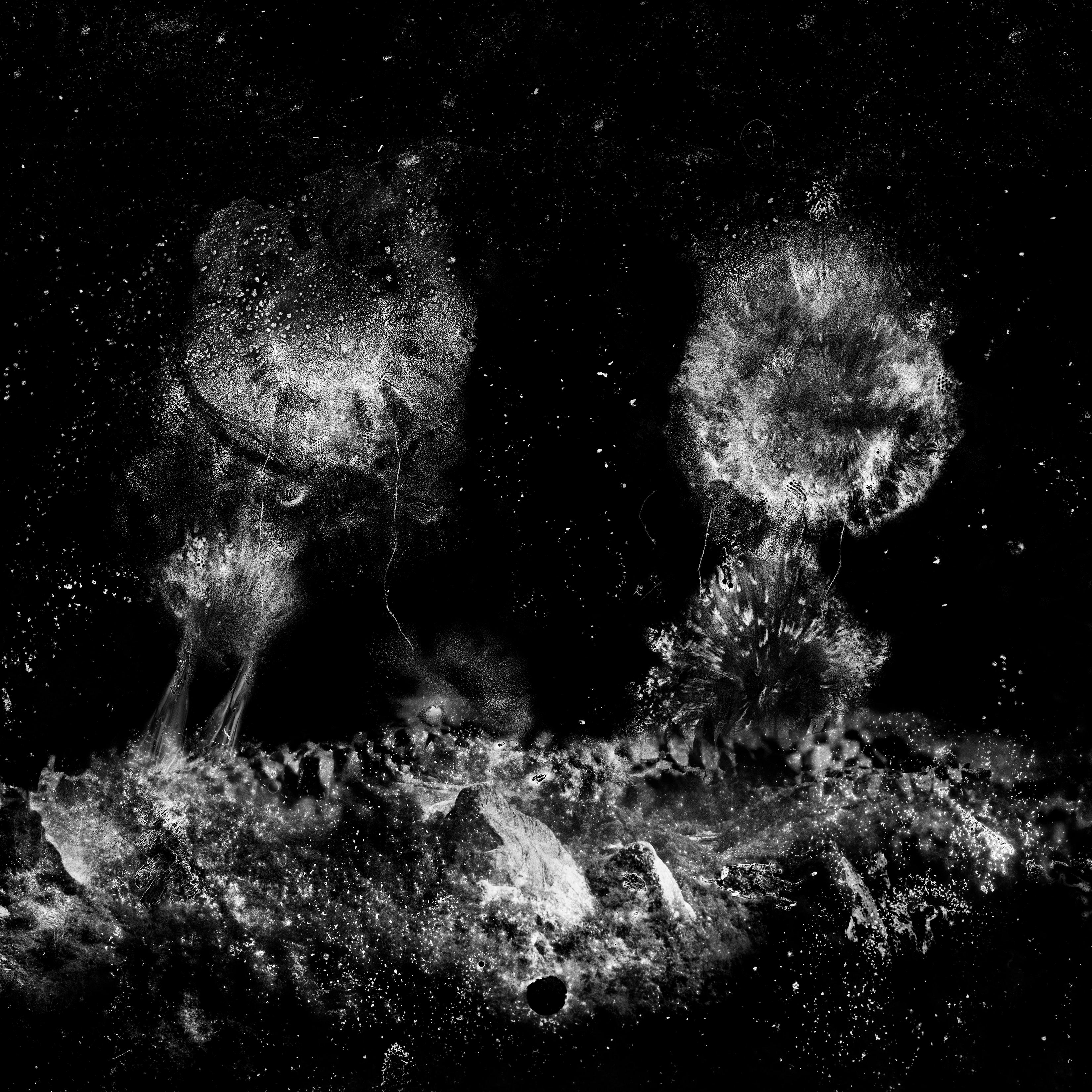 Osheen Harruthoonyan - Transdifferentiation, Contemporary abstract ...