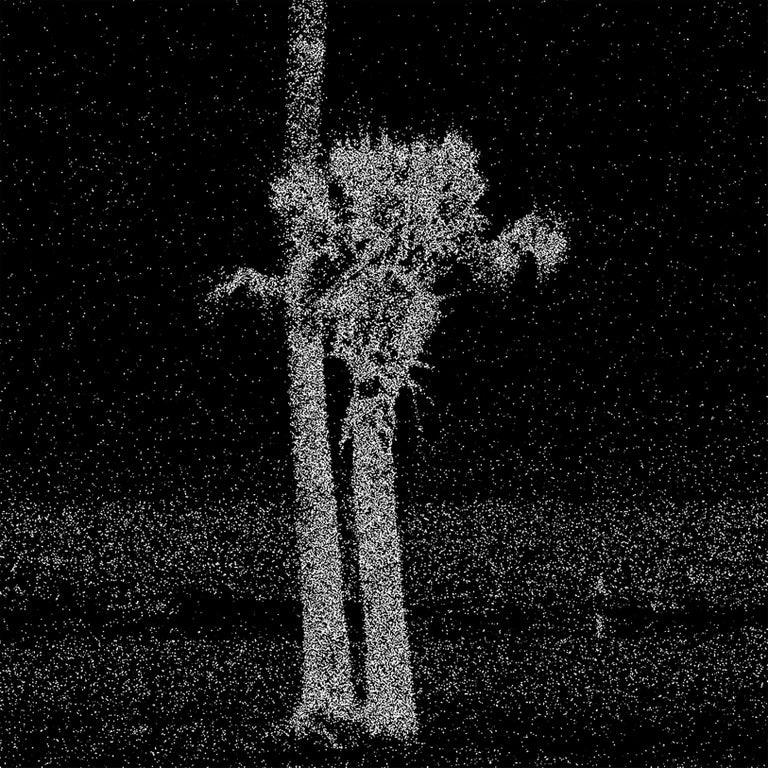 Osheen Harruthoonyan - Untitled, Evening landscape, palm trees, beaches ...