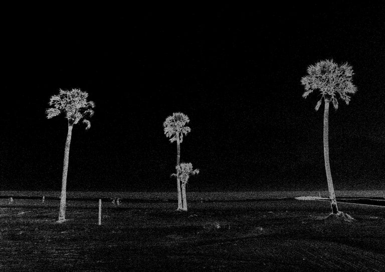 Osheen Harruthoonyan - Untitled, Evening landscape, palm trees, beaches ...