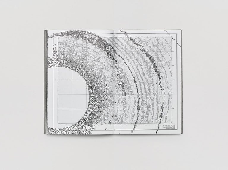 OTR Plate 003 Swaying in Developer Chemicals Printed on Aluminum For ...