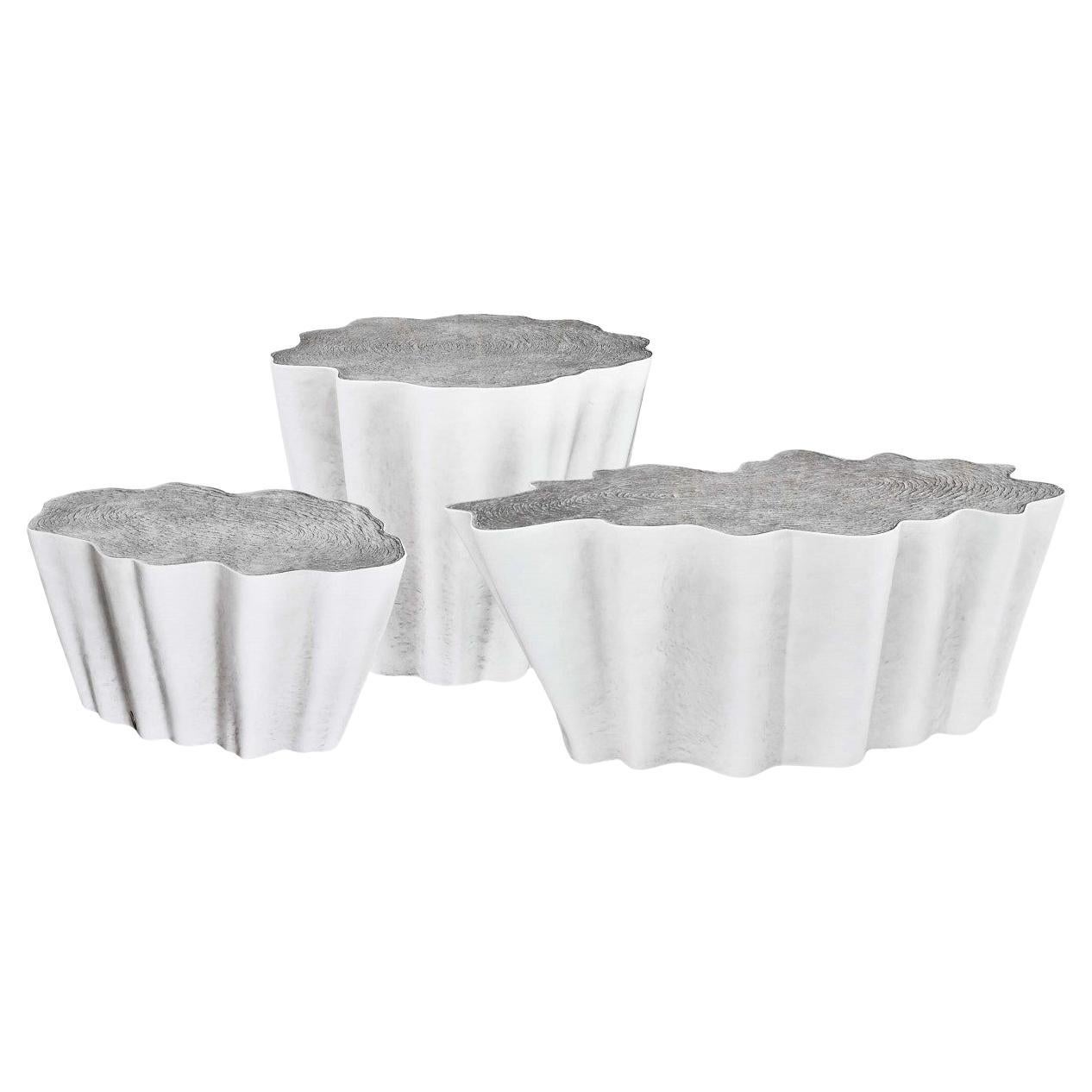 Vintage Cross-Sectioned Tree Trunk and Root Coffee Table at 1stDibs