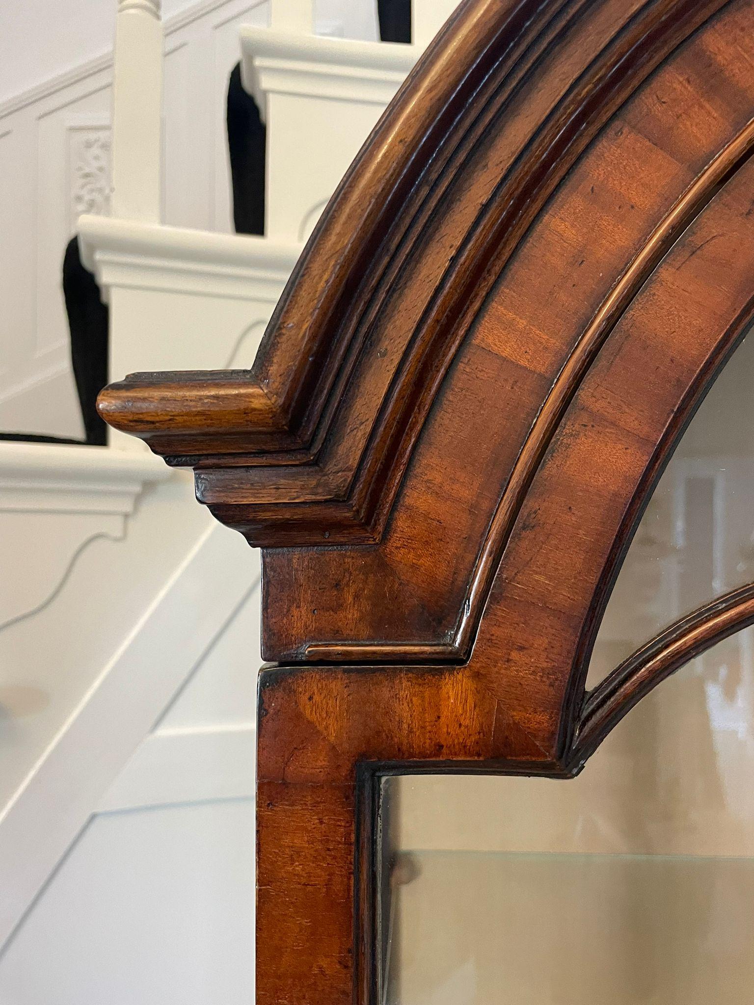 Outstanding Quality Antique Burr Yew Wood and Mahogany Display Cabinet ...
