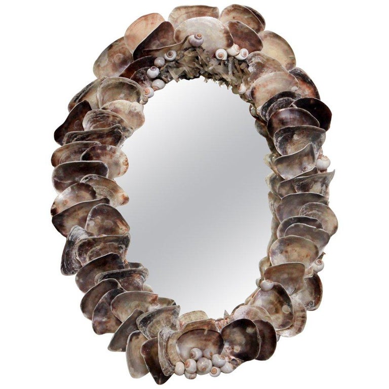 Oval Oyster Shell Mirror at 1stDibs | oyster shell mirrors, oval shell ...