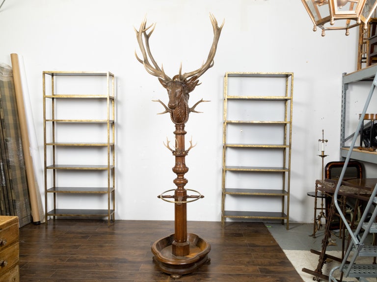 Oversized Black Forest 19th Century Carved Oak Stag Rack with Antlers ...
