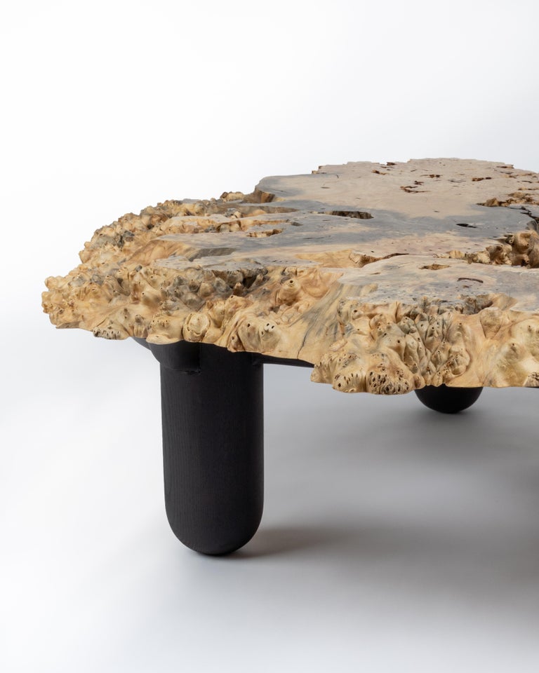 Oversized Buckeye Burl Coffee Table, in Stock For Sale at 1stDibs