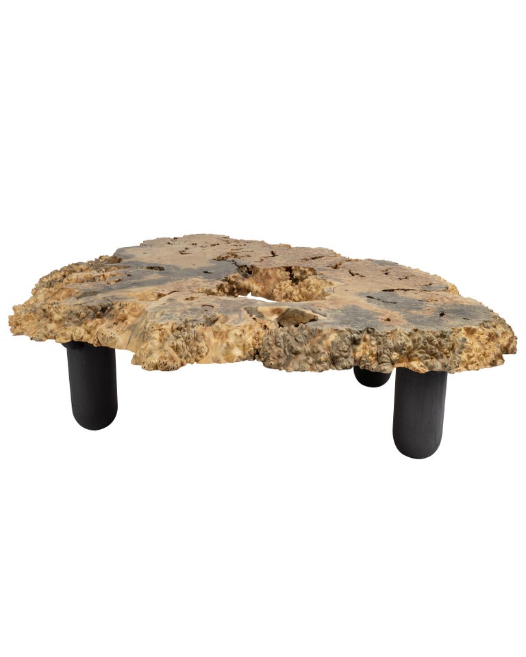 Oversized Buckeye Burl Coffee Table, in Stock For Sale at 1stDibs